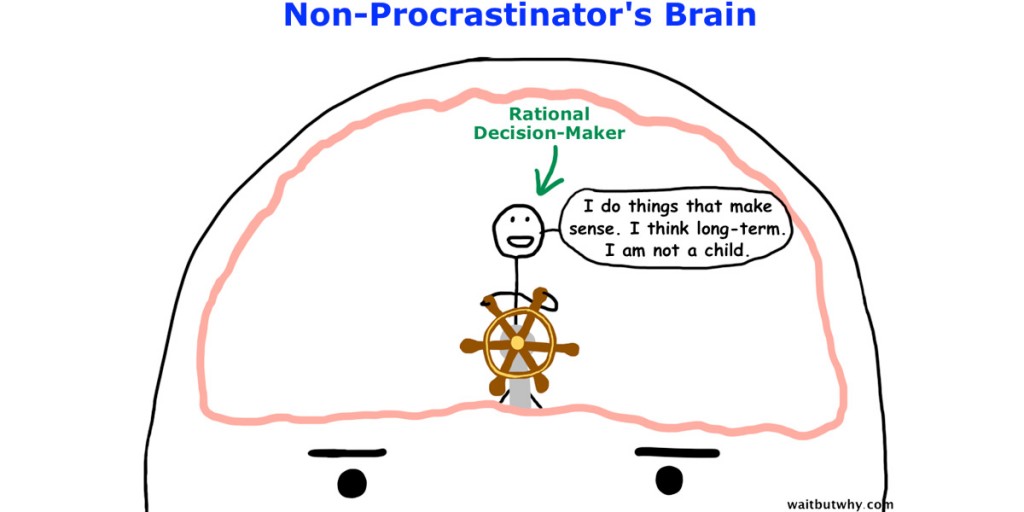 This Week in TED: Inside the Mind of a Master Procrastinator ...