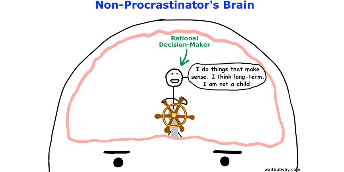 This Week in TED: Inside the Mind of a Master Procrastinator ... This Week in TED: Inside the Mind of a Master Procrastinator ...