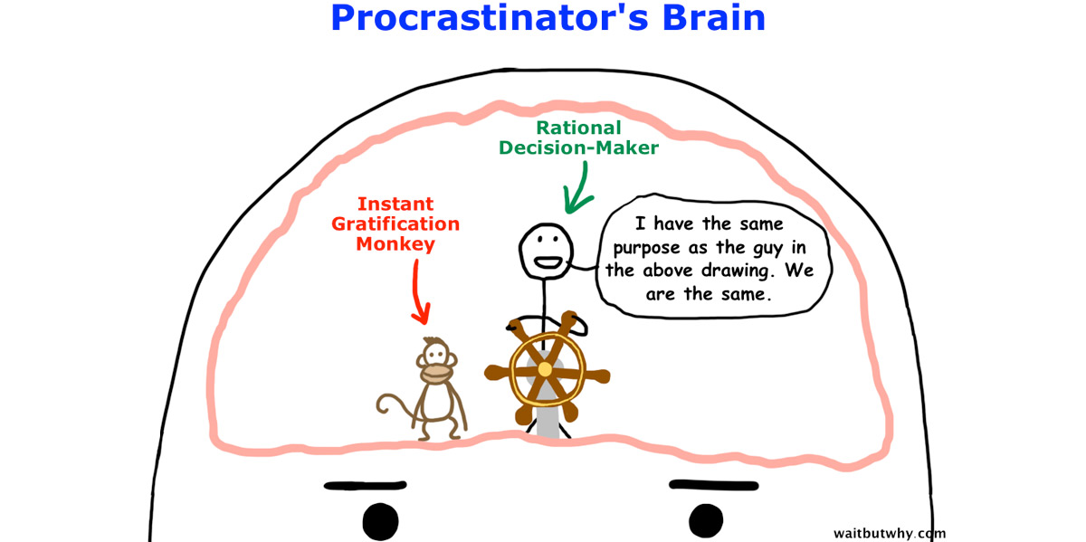 This Week in TED: Inside the Mind of a Master Procrastinator ... This Week in TED: Inside the Mind of a Master Procrastinator ...