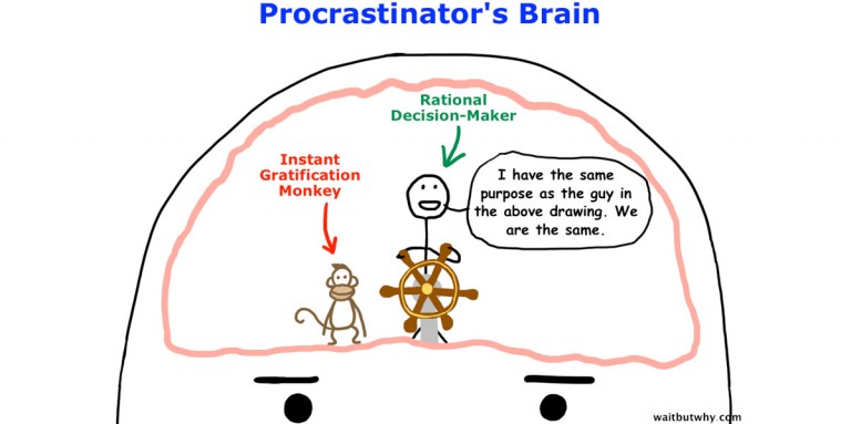 This Week in TED: Inside the Mind of a Master Procrastinator ...